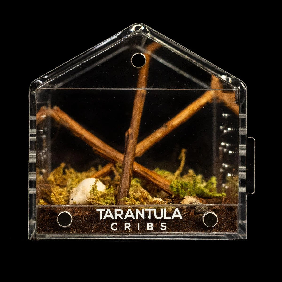 3″ Tarantula Canopy | Best Acrylic Spiderling Enclosure – Arachnifiles