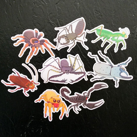 Die Cut Sticker Pack (8) – Arachnifiles