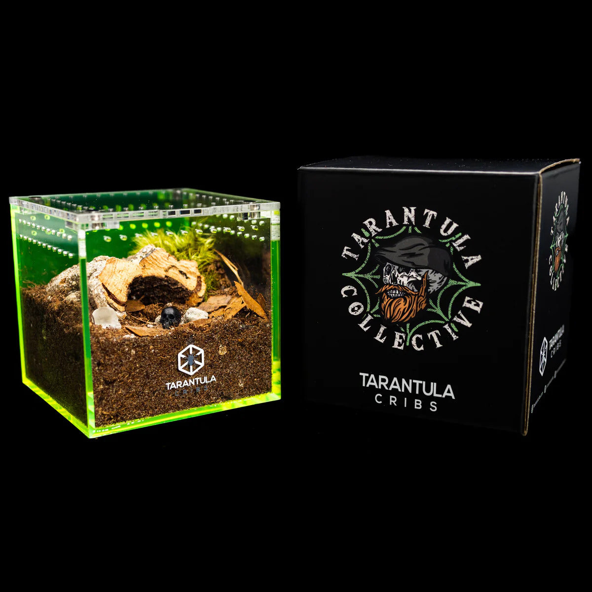 Richard Stewart Collaboration Enclosure | Glow Cube for Spiderlings ...